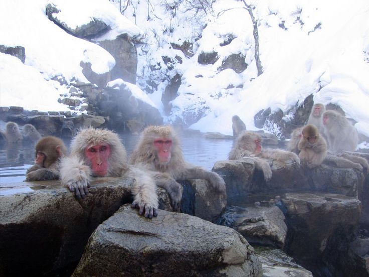 7 Hidden Gems in Japan’s Winter | Satami Japan Tour